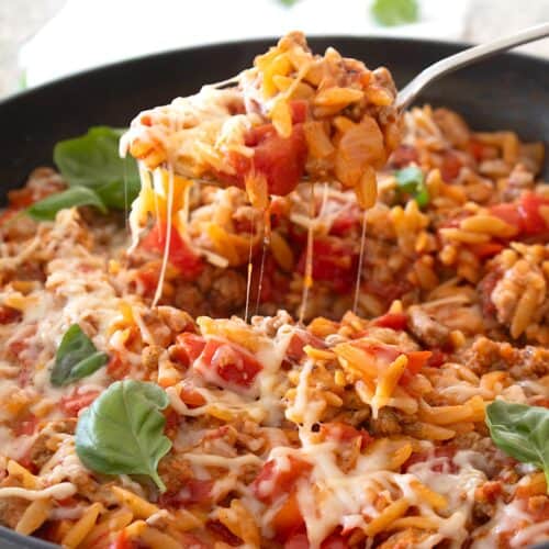 9 Recipes that Use Ground Turkey - Laughing Spatula